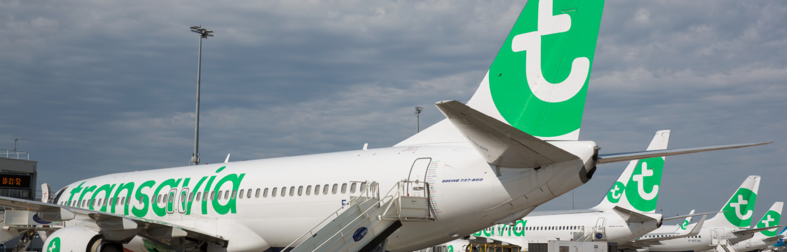 Emploi Transavia - Chargé de projet - AMO H/F CDI